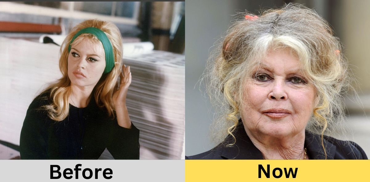Brigitte Bardot Net Worth 2025: Annual Income and Biography