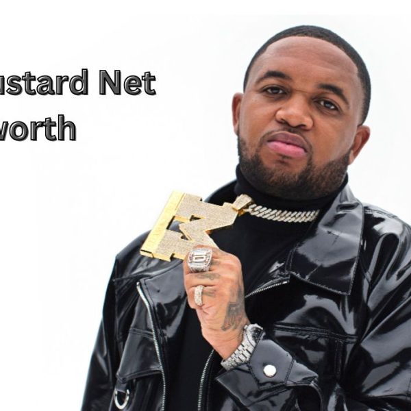 Unified Celebrity Net Worth Interface for Finance Professionals