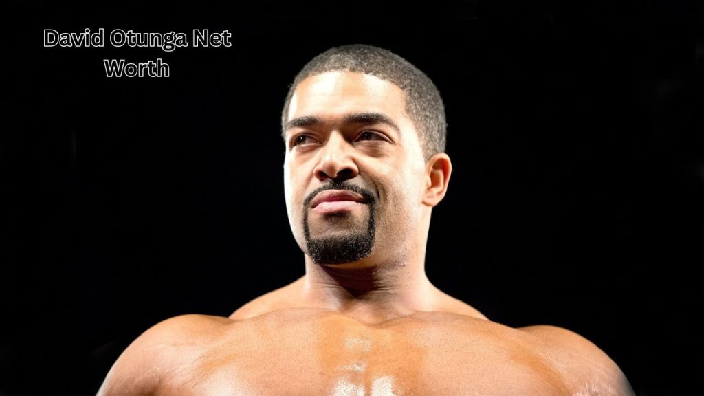 David Otunga Net Worth 2025: Career Earnings and Personal Life